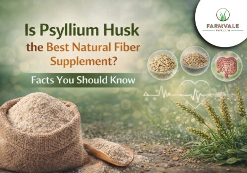 Is Psyllium Husk Gluten-Free? A Complete Guide for Global Buyers ...
